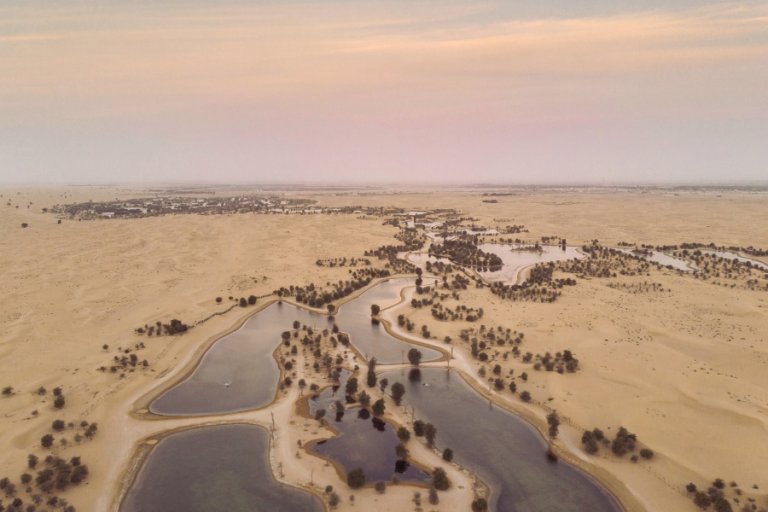 Animals of Dubai: UAE Native Species & Where to Have Animal Encounters ...
