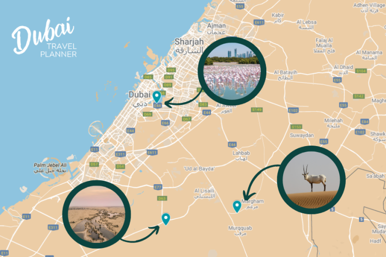 Animals of Dubai: UAE Native Species & Where to Have Animal Encounters ...